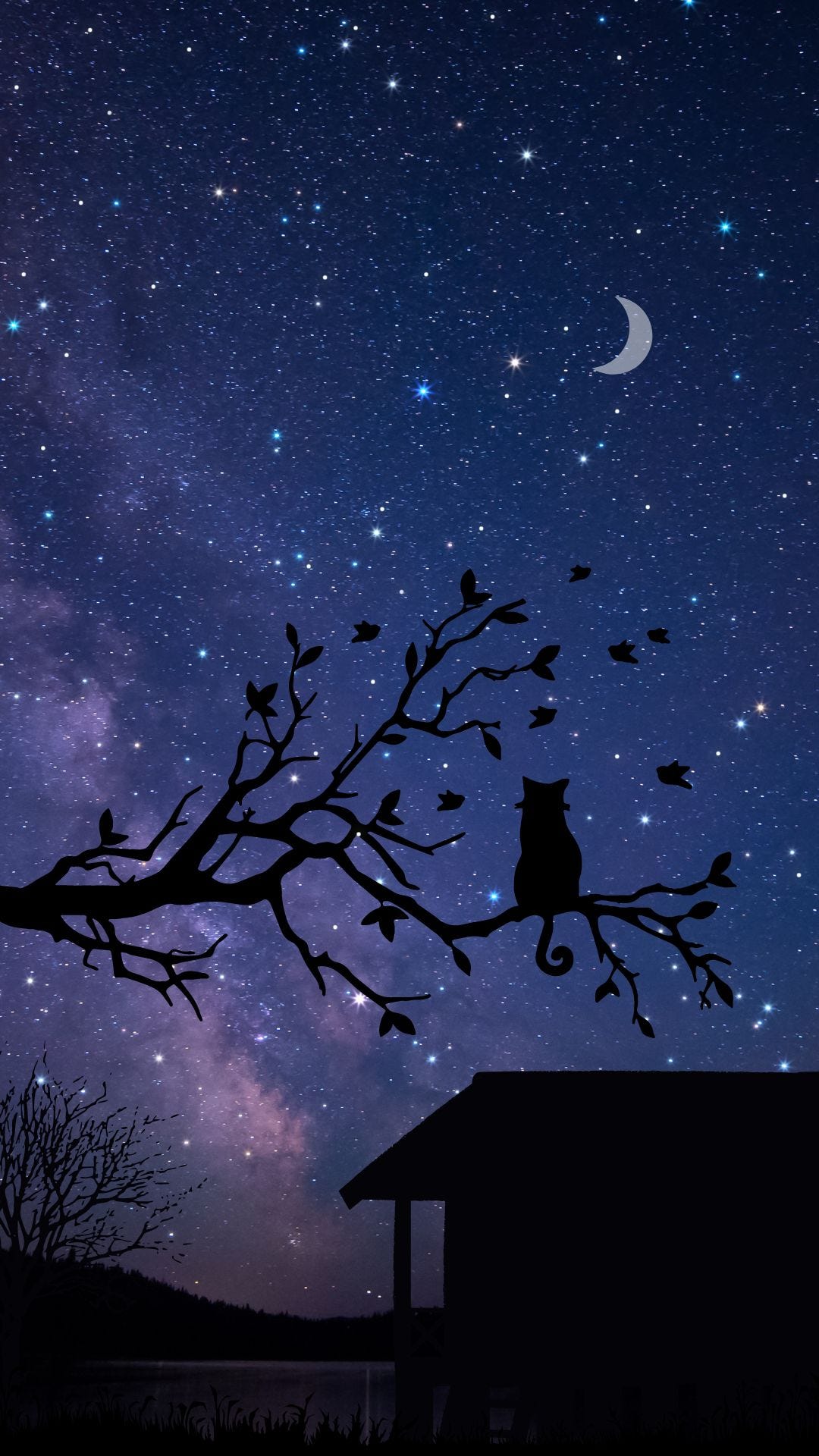 STARRY NIGHT. Starry Night is a renowned painting… | by Ananya Samal ...