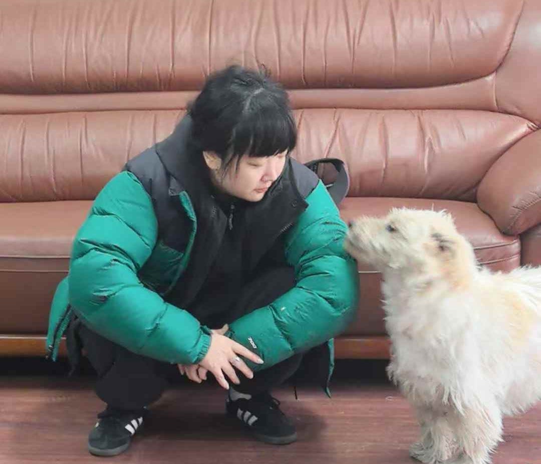 Introducing Enzo. I am Zijuan Chen, a sophomore; you can… | by Enzo ...