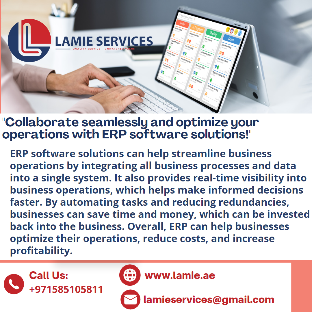 ERP Software Solutions - Lamie Services - Medium
