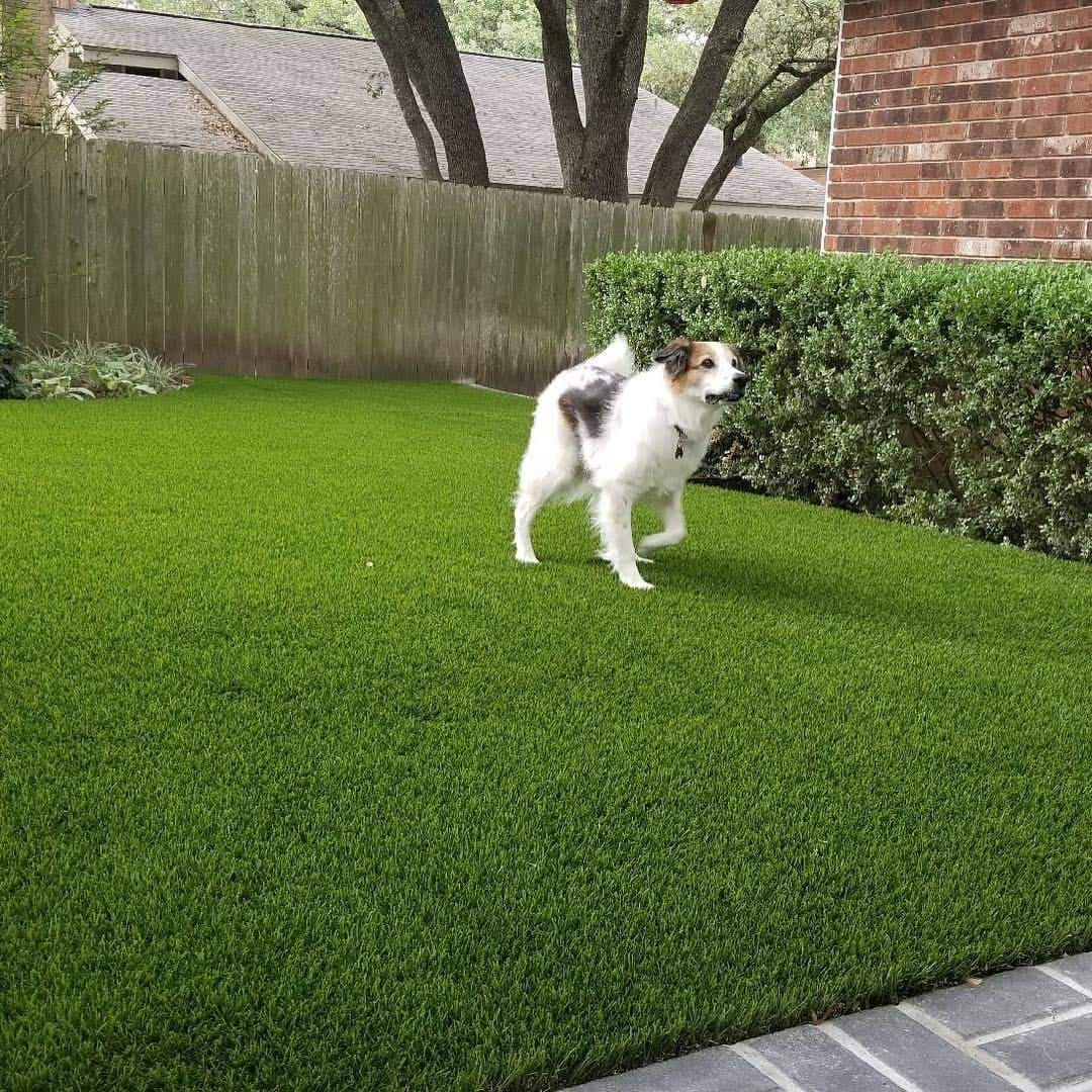 How Much Does Artificial Turf Installation Cost in Orange County? | by ...