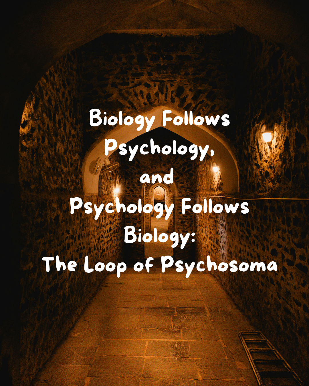 🧠 Biology Follows Psychology, and Psychology Follows Biology: The Loop of Psychosoma | by ...