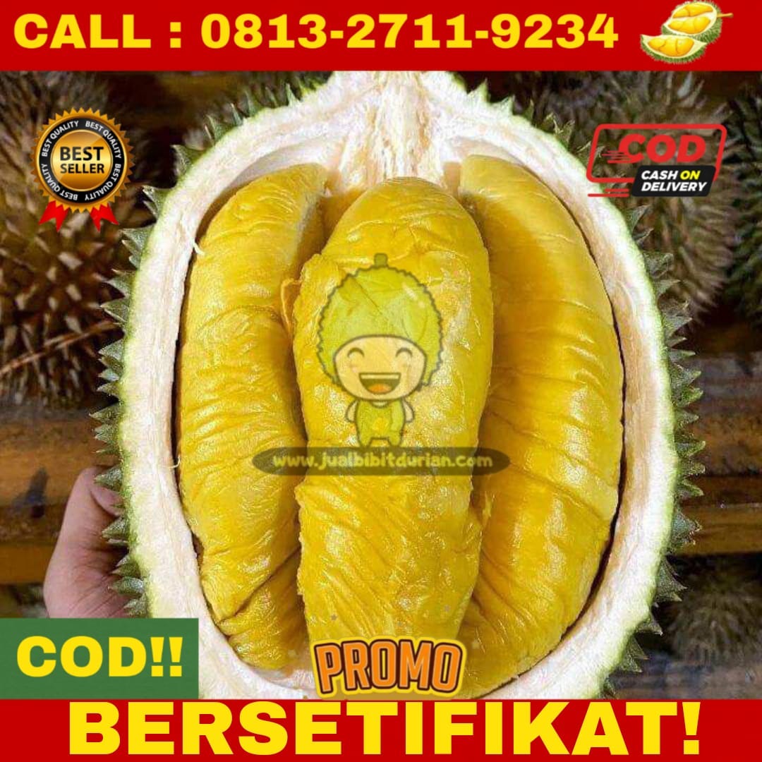 1.STOK TERBATAS !. Durian Bawor kaki 3 dongkelan adalah… | by ...