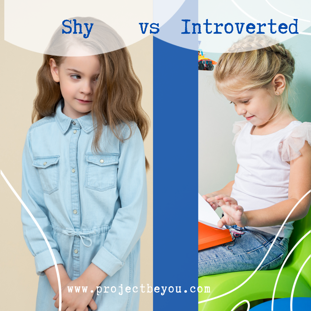 Shy vs. Introverted. I recently came across an interesting… | by ...