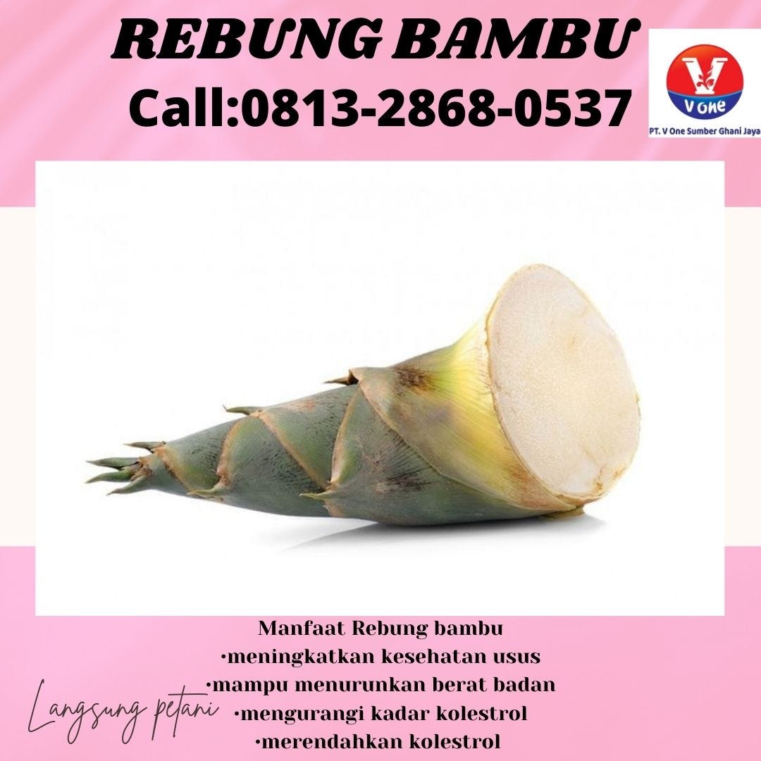 Pusat Budidaya Herbal Rebung Bambu Betung Tambak Bayumas ...