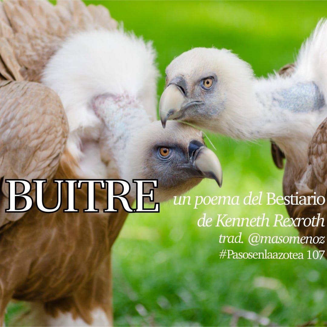 Buitre, un poema del Bestiario de Kenneth Rexroth, trad. Javier ...