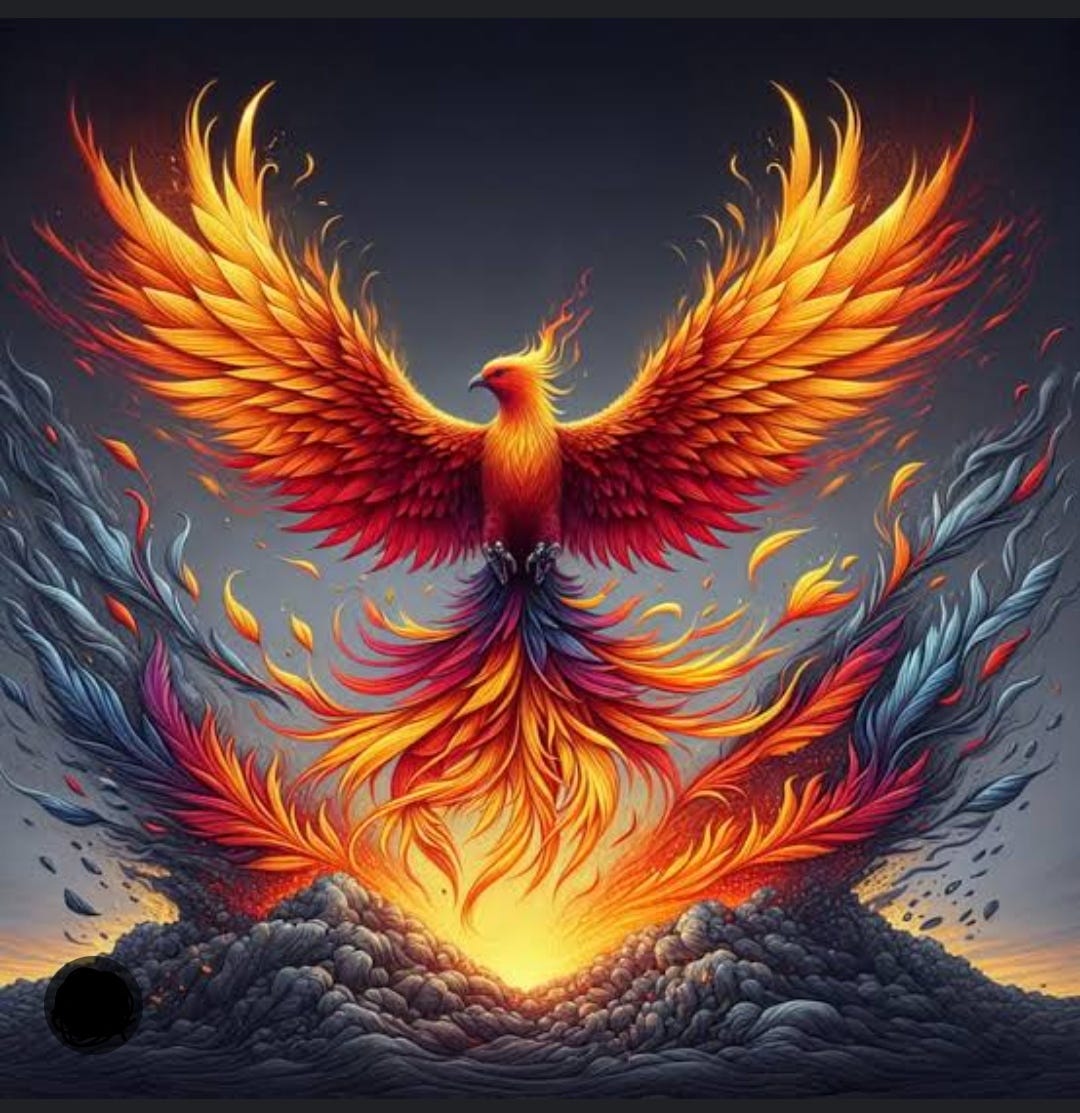 "Arina: A Phoenix Rising - Turning Ashes into Stars" | by Arina Arora | Jul, 2024 | Medium