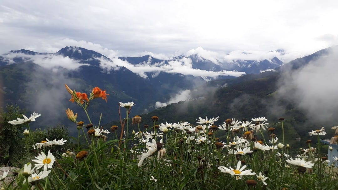 Nepal’s Future in 50 Years: Navigating Enormous Youth Migration Trends ...