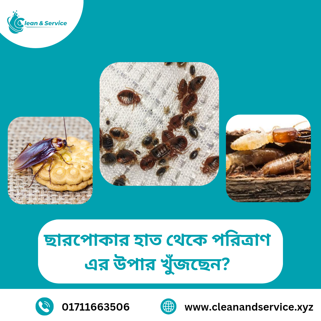 Banish Bed Bugs: best Bed bugs control services in Dhaka, Bangladesh | by Clean and service ...