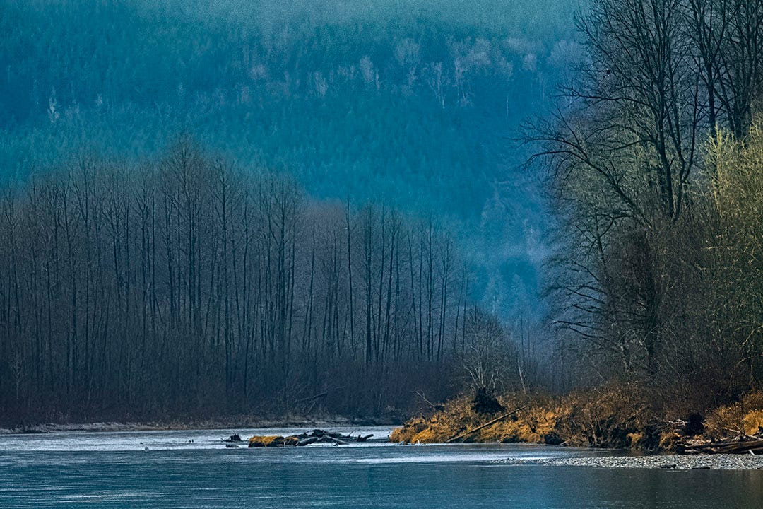 Morning on the Skagit River - SNAPSHOTS - Medium