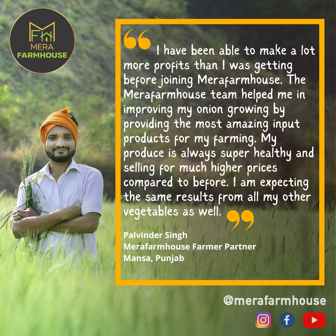 Happy farmers - Merafarmhouse - Medium