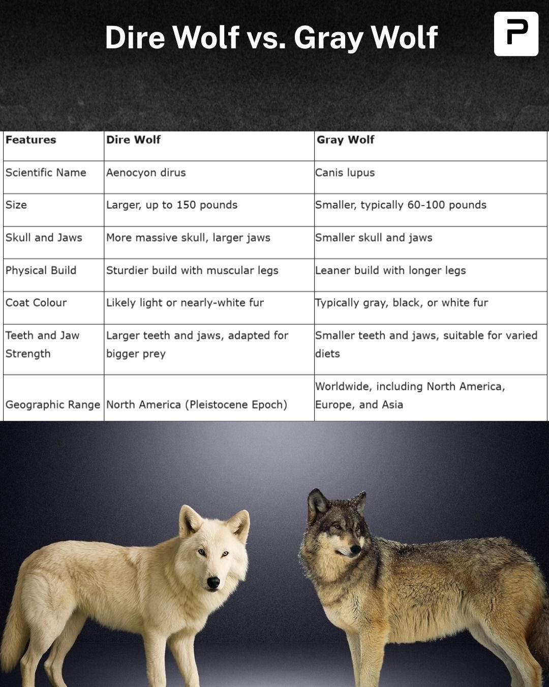 Dire Wolf Resurrection: Balancing Science and Ethical Responsibility ...