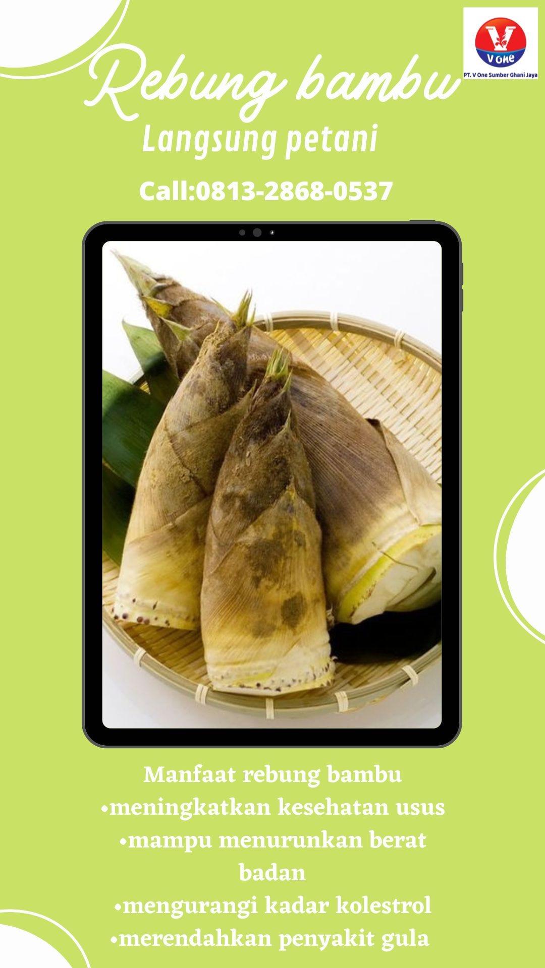 Pusat Budidaya Herbal Rebung Bambu Betung Tambak Bayumas ...