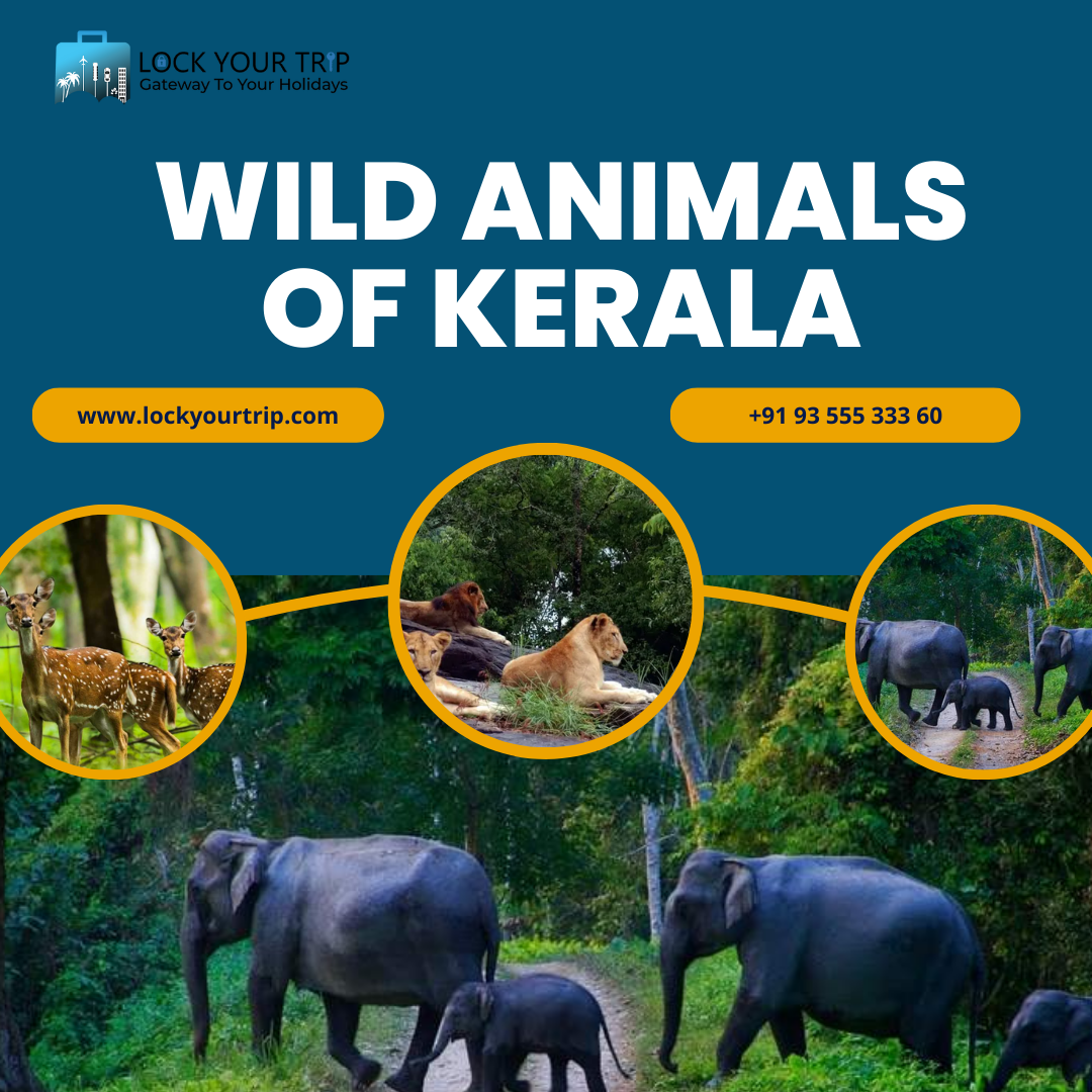 “Exploring Kerala’s Biodiversity: An Exhaustive Manual for the Wildlife ...