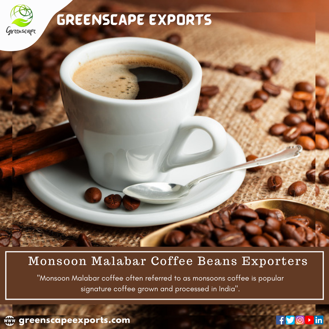 Coffee Bean Suppliers | Connect with Greenscape - Greenscapeexports ...