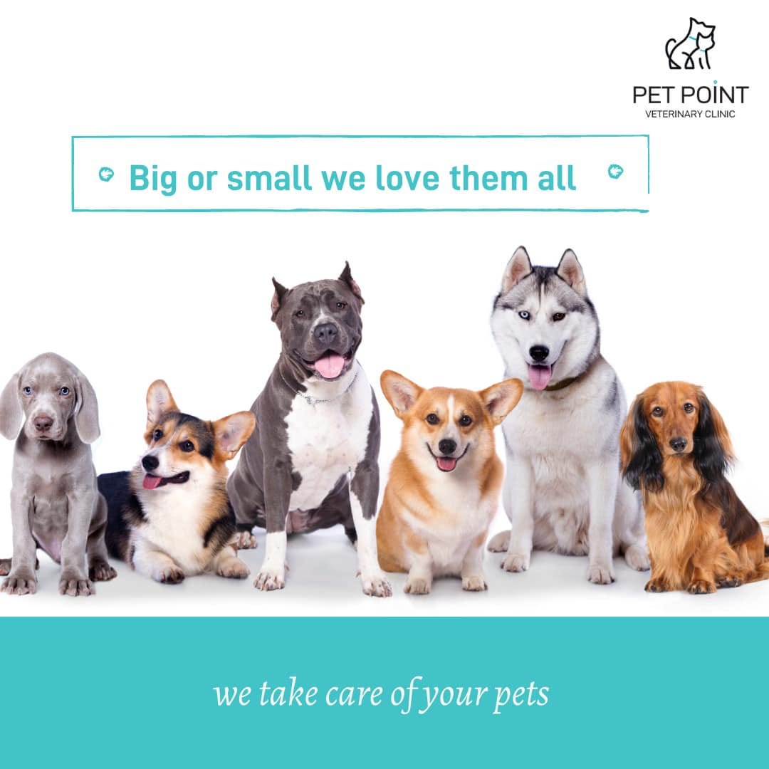 Advanced Animal Health Services for Preventative Care and Treatment ...