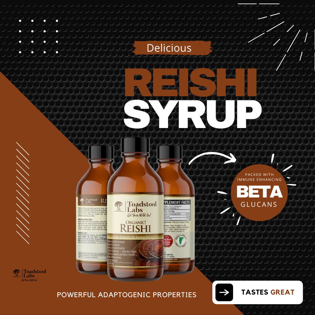 Mushroom Power: Boosting Immunity with Lion’s Mane Mushroom Capsules | by Toadstoollabs | Medium