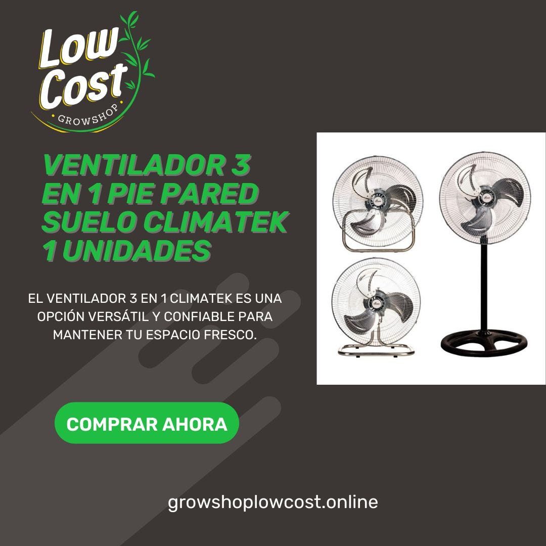 Ventilador 3 en 1 pie pared suelo climatek 1 unidades - Belljaden - Medium