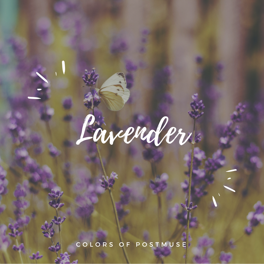 Walking in a field of Lavender. When designing your Instagram post, you ...