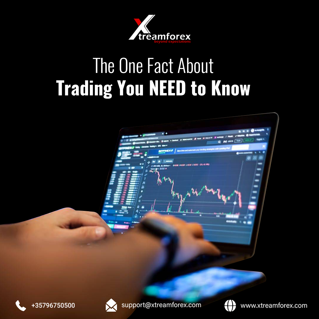 The One Fact About Trading You Need To Know - Tammana - Medium