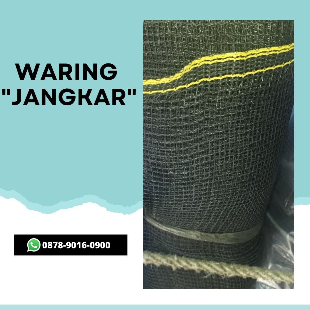 Waring Jangkar - Waringjaring - Medium