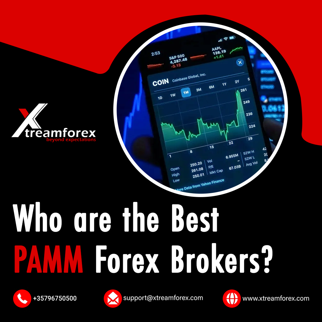 Who are the Best PAMM Forex Brokers? - AnjaliRana - Medium