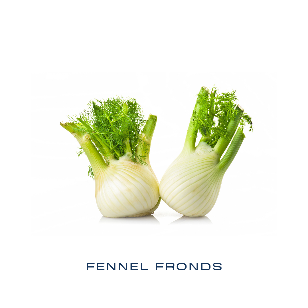 COOKING WITH FENNEL FRONDS. The Lesser-known Hero Herb | by Your ...