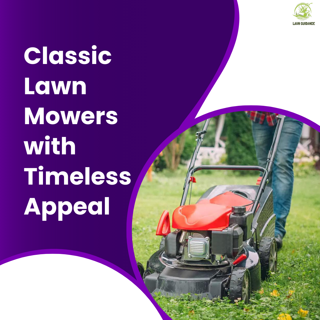 Vintage Vibes: Classic Lawn Mowers with Timeless Appeal - James M. Chew ...
