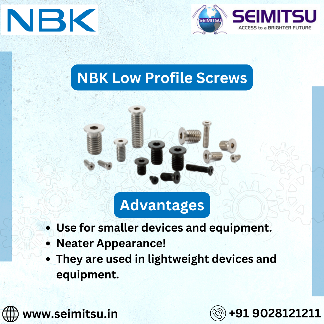 NBK Low Profile Screws | SEIMITSU - SEIMITSU Factory Automation Pvt ...