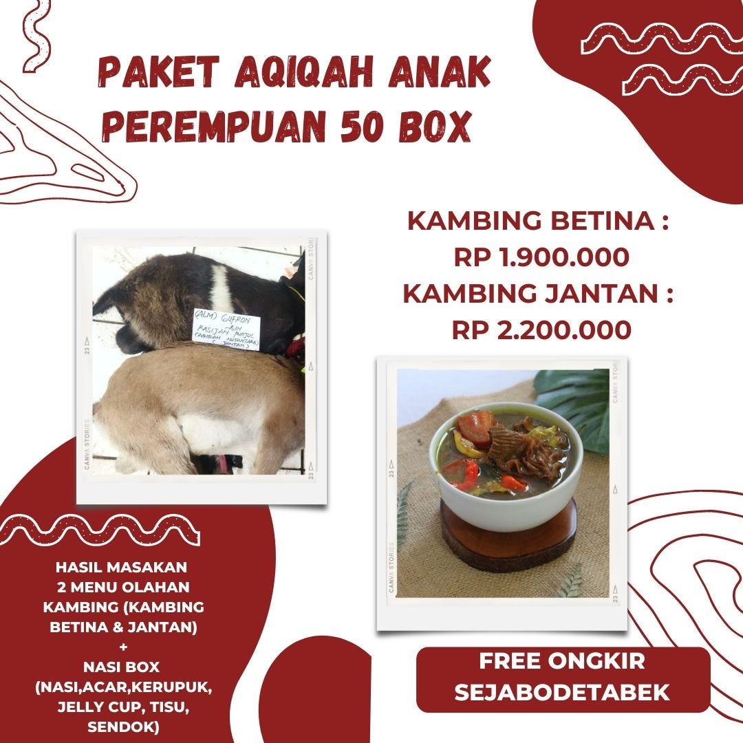 Paket Aqiqah Anak Perempuan 50 box - JasaAqiqahNusantara - Medium