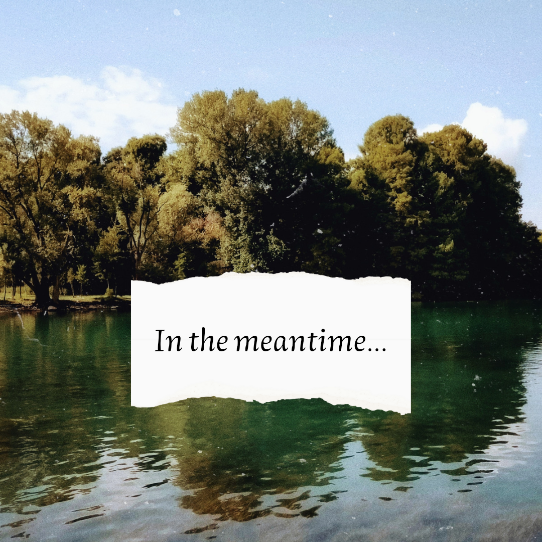In The Meantime…. In the meantime… This is the theme I… | by Annalisa ...