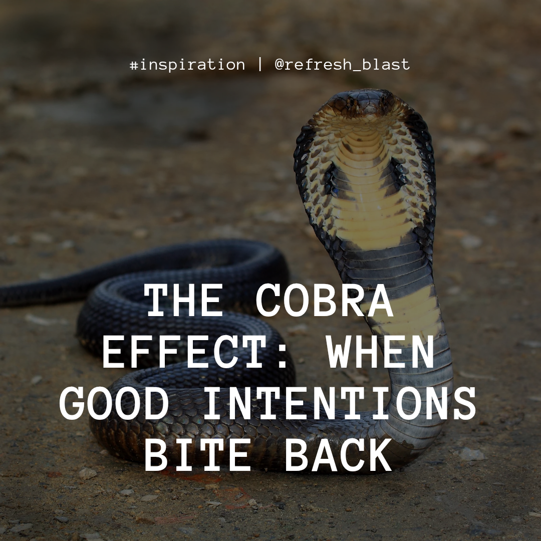 The Cobra Effect: When Good Intentions Bite Back | by Yash B | Medium