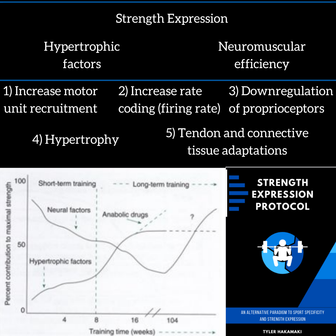 Factors to increase maximal strength | by Tyler Hakamaki | Medium