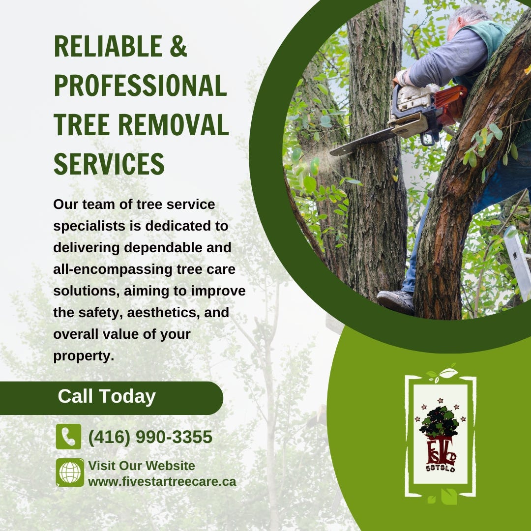 Need a Tree Removed Safely? Let Our Team Help! | by Five Star Tree ...
