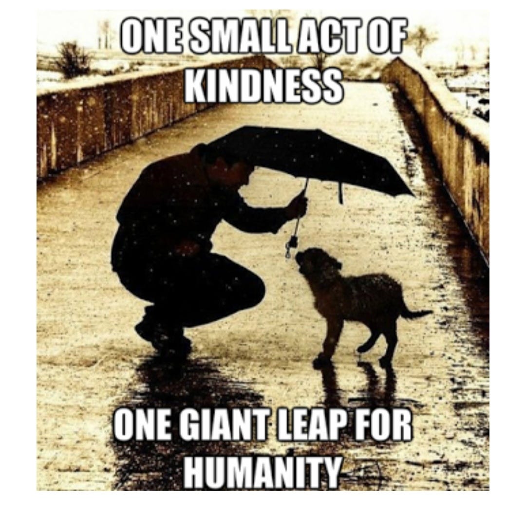 Random acts of kindness: What is kindness? | by Atika Irfan | Medium