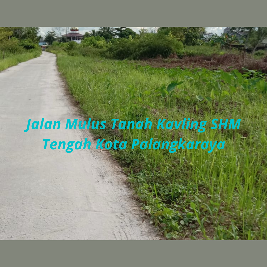 Jalan Mulus Tanah Kavling SHM Tengah Kota Palangkaraya - Very Greenery ...