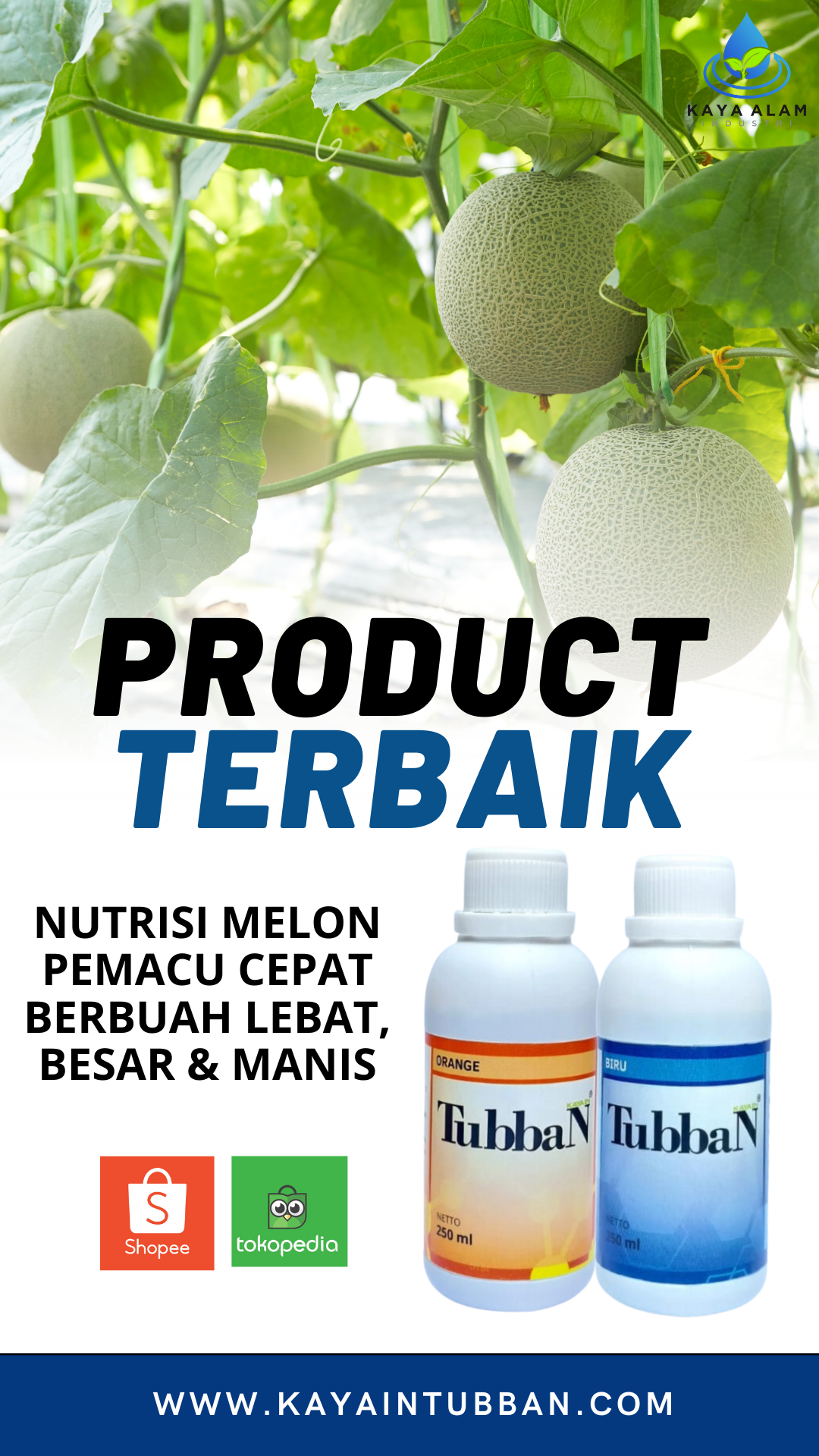 PUPUK MELON KAYAIN TUBBAN — 082132192377 - Kayain TubbaN - Medium PUPUK MELON KAYAIN TUBBAN — 082132192377 - Kayain TubbaN - Medium