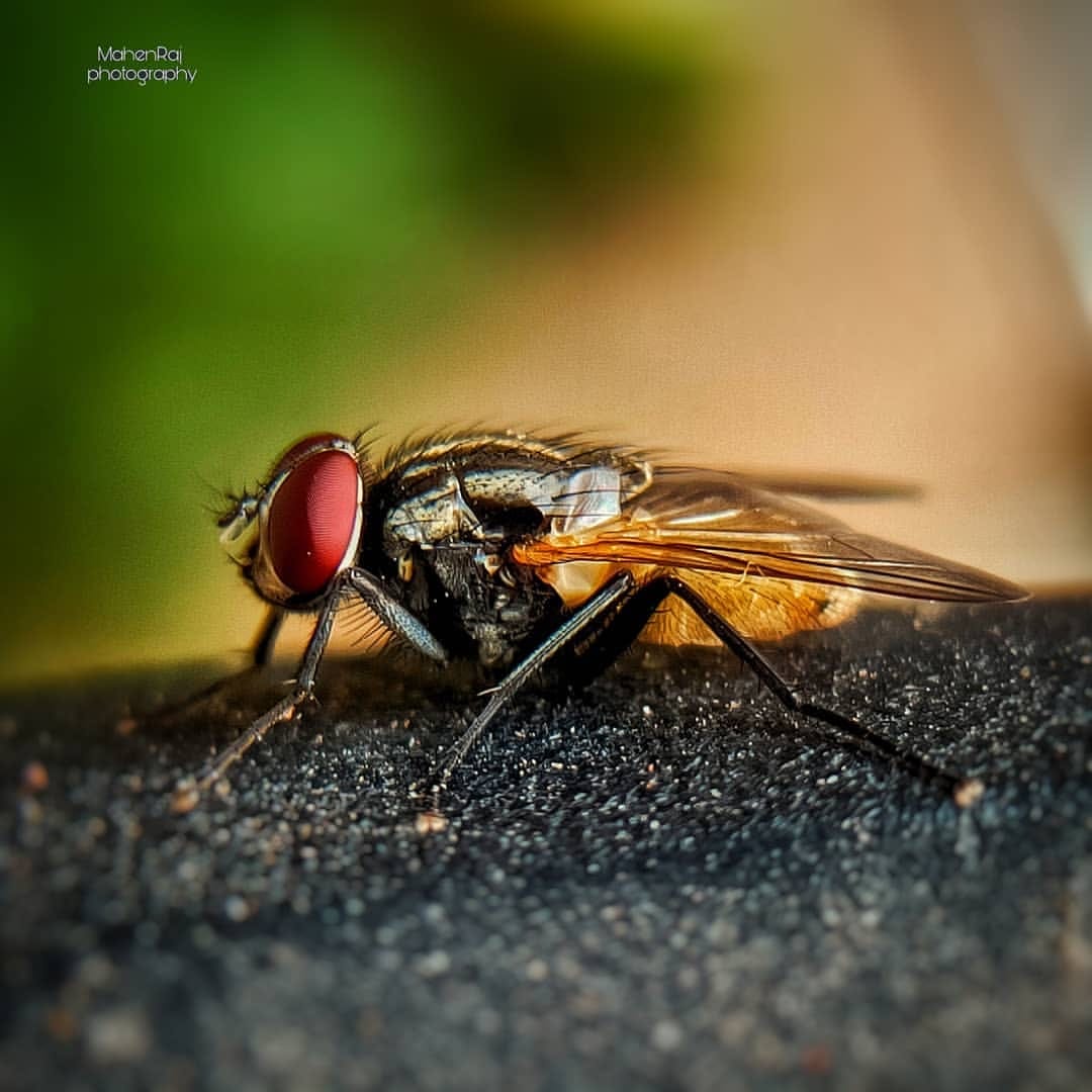 Shutter Story. “Moments Frozen in Time: A Photography… | by Mahen Raj ...