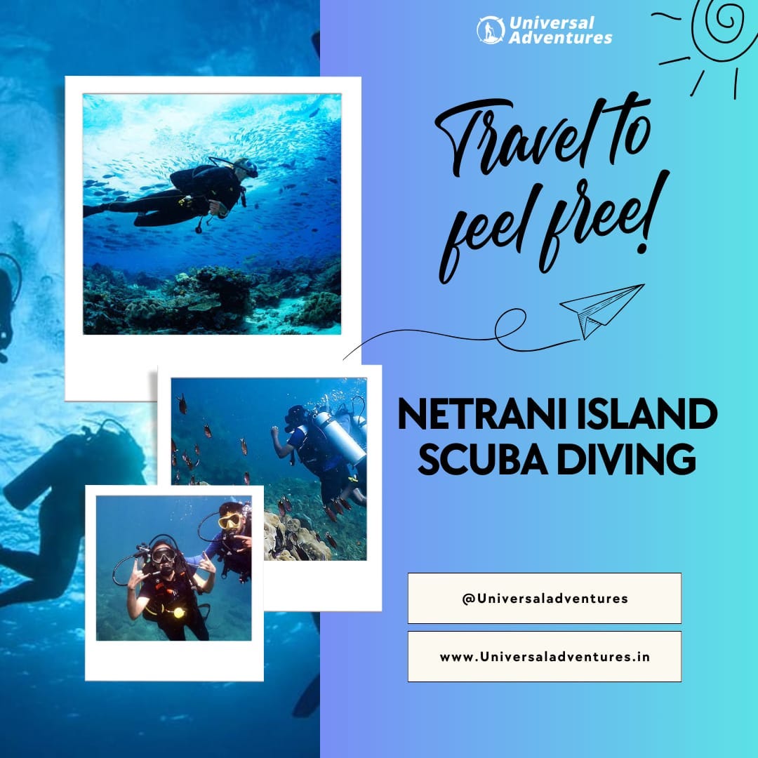 Netrani Island Scuba Diving: A Closer Look at the Marvellous Dive Sites ...