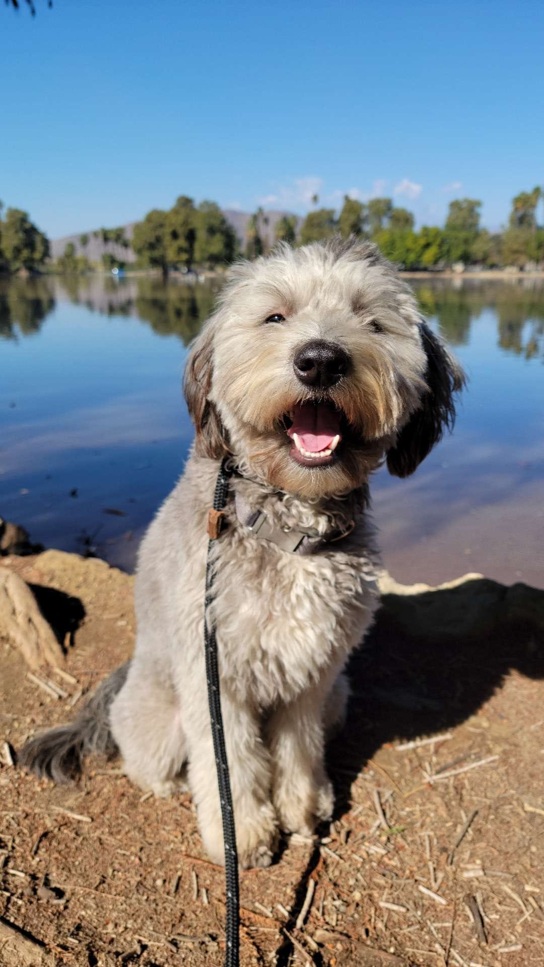 Sharpening Your Image: Watermarking with Sharp.js | by Hector Espinoza Jr | Medium