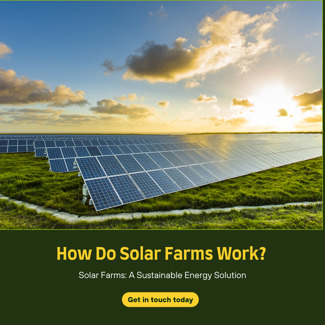 How Do Solar Farms Work?. Solar farms are pivotal in the realm of… | by David Williams | Jul ...