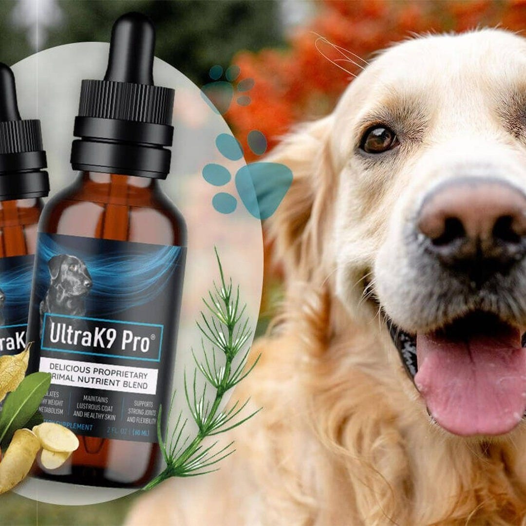 Unlock Your Dog’s Full Potential: The Truth Behind UltraK9 Pro and Why ...