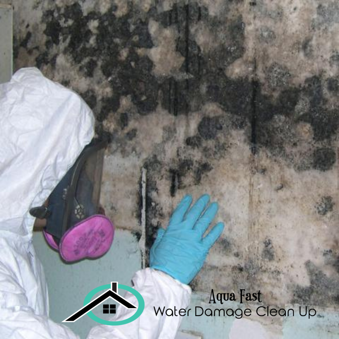 3 Effective Techniques To Eliminate Mold From Your Home | by Aqua Fast ...