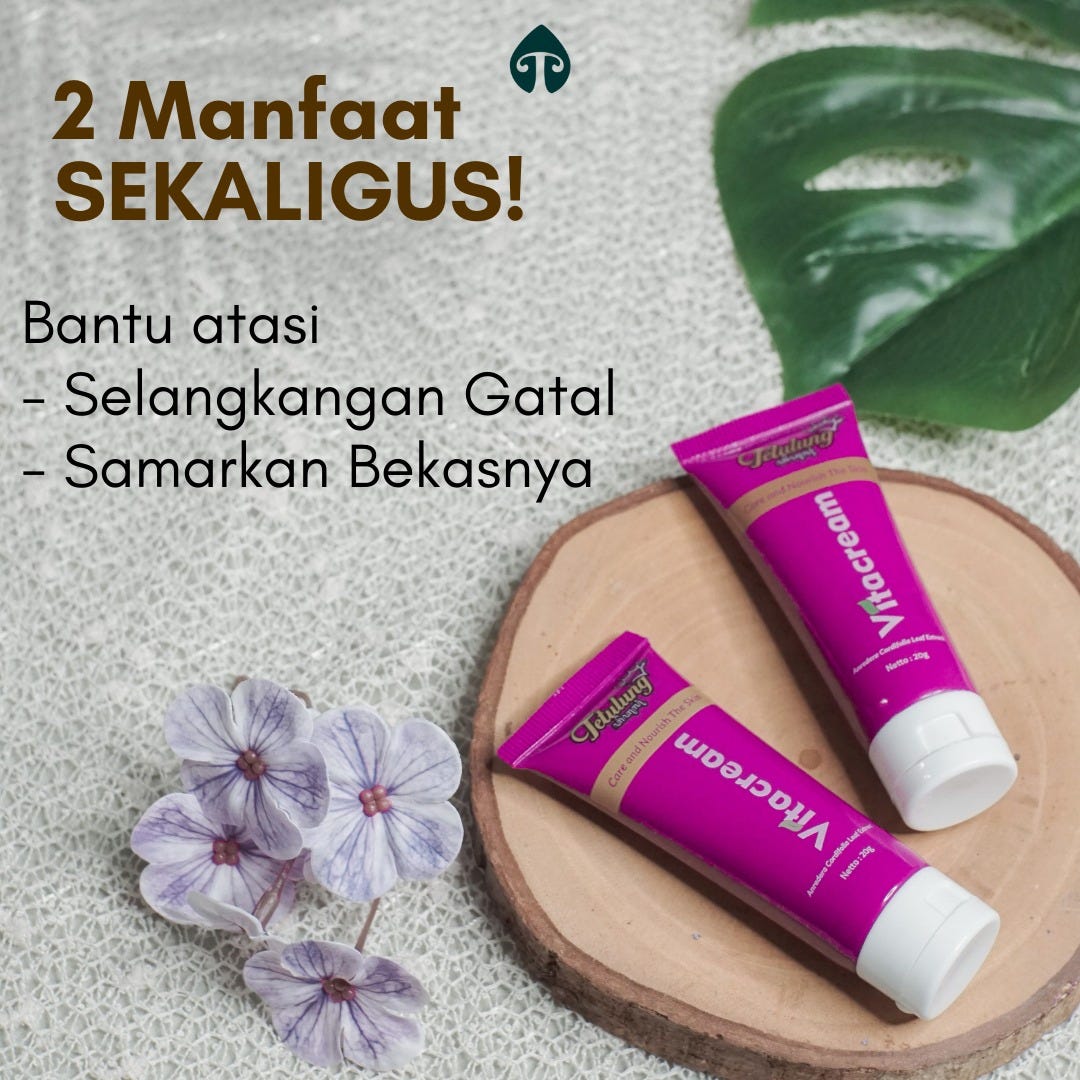 1 Vitacream 20gr Salep Obat Hemoroid — Anus Bengkak, Wasir, Ambeyen ...