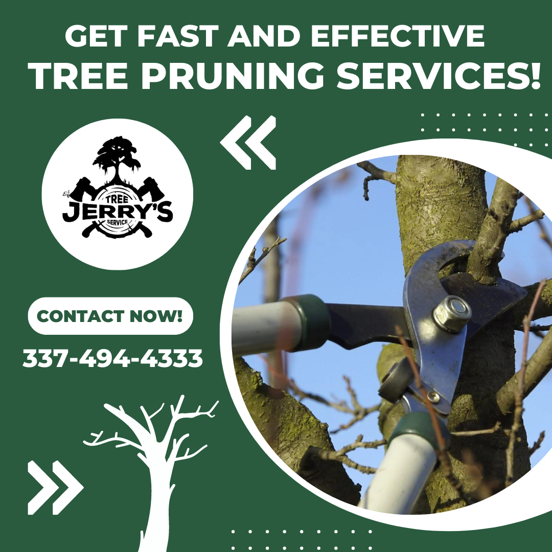 Get Expert Pruning Services for Your Deciduous Tree! - Jerry's Tree ...