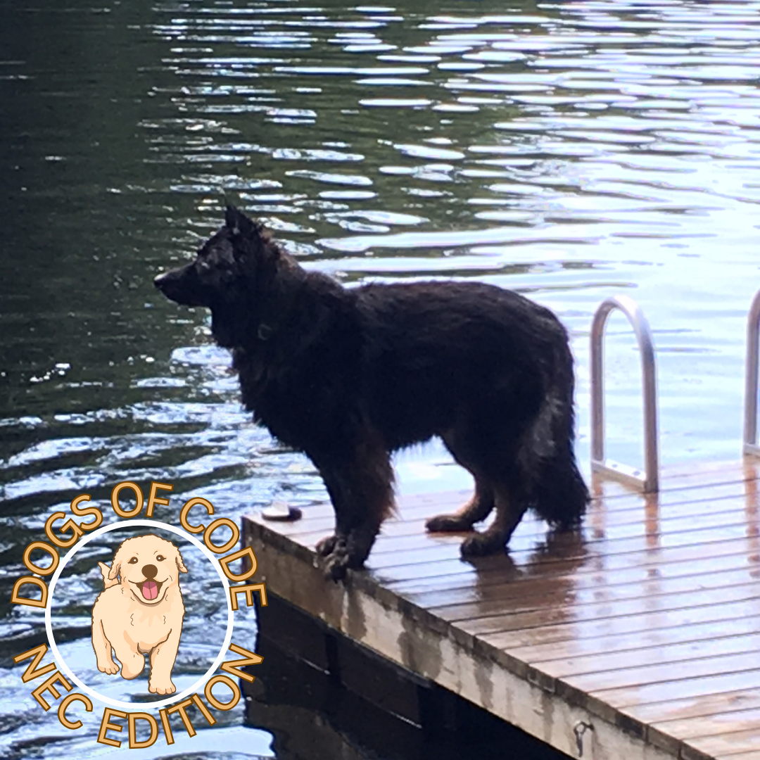 Dogs of Code — NEC Edition — Part 2 - Dark Sparks Newsletter - Medium