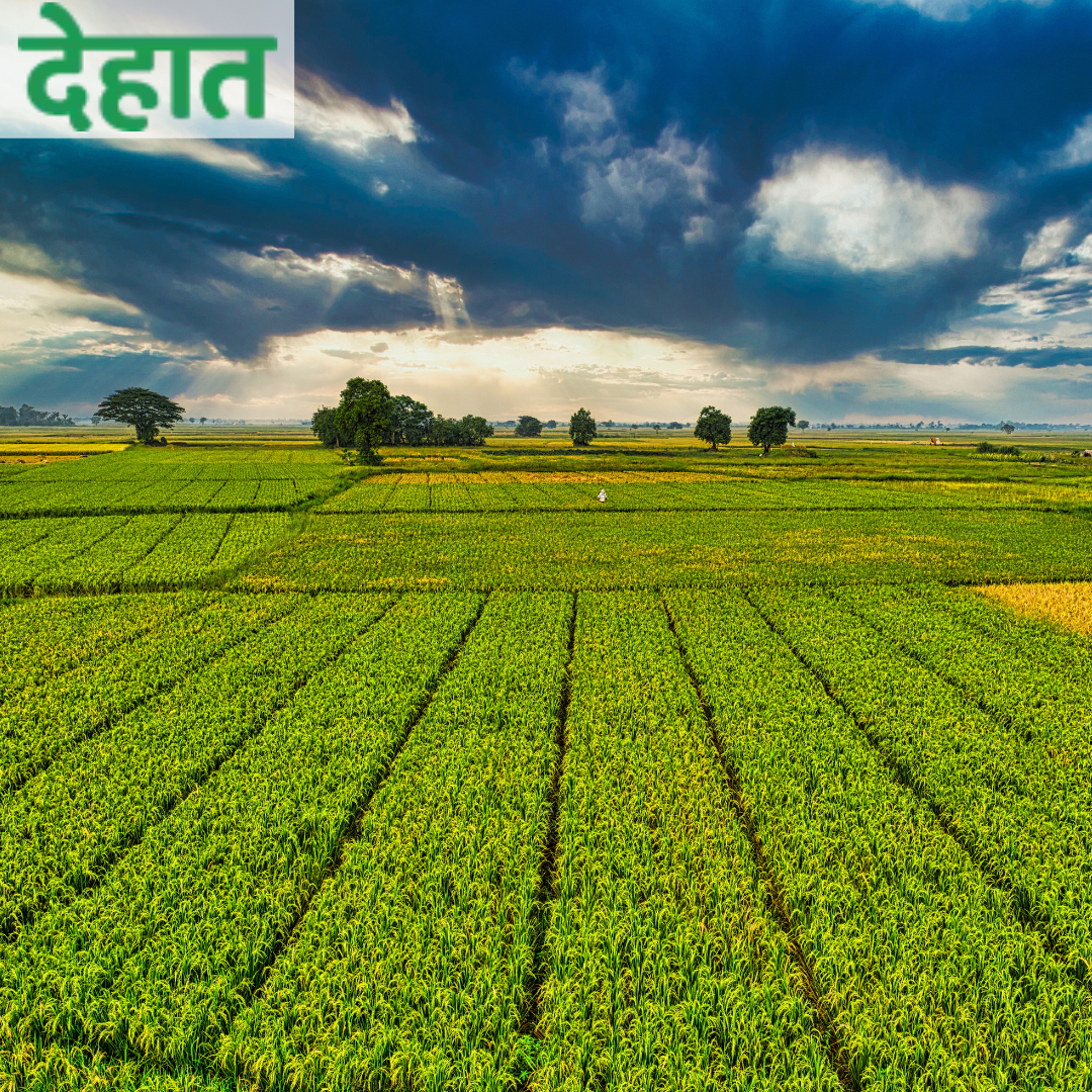 Dehaat-The Best Agricultural Website For Farmers | by ...
