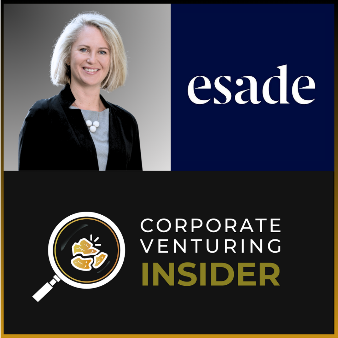 From Finance to Philanthropy: Lisa Hehenberger on the Rise of Venture ...