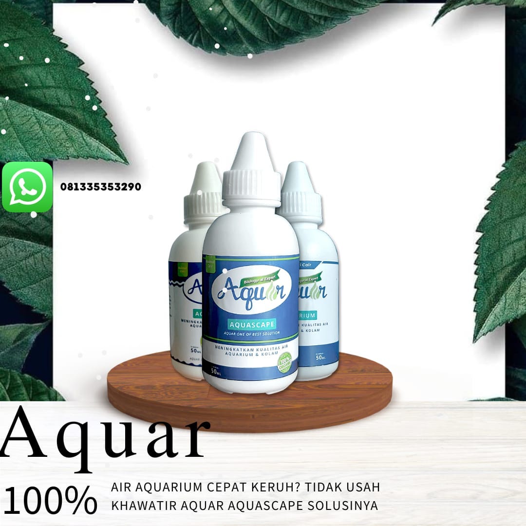 probiotik kolam koi(0813–3535–3290) | by Haikaltablettcca | Medium