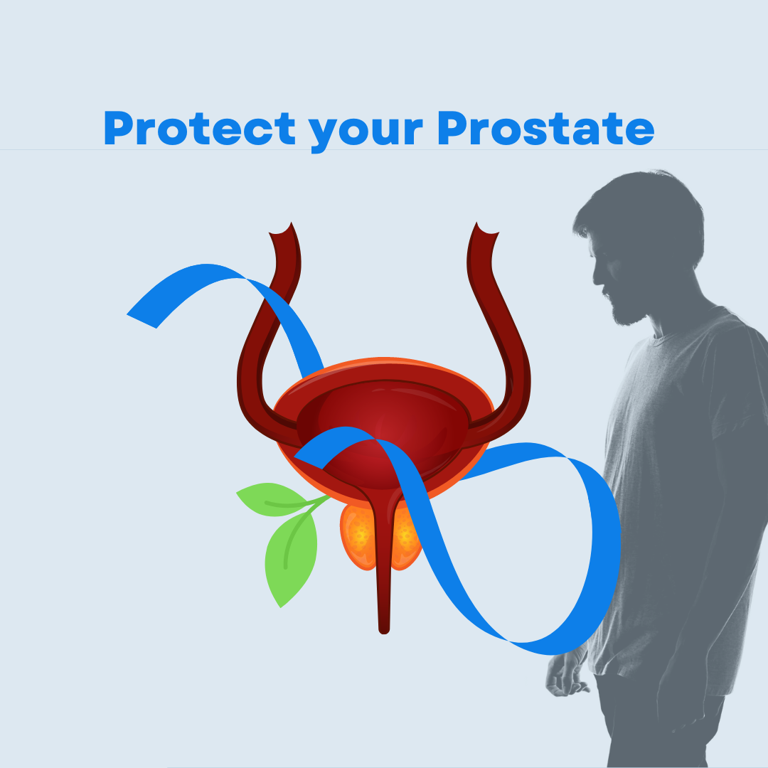 How to prevent Prostate Cancer and other Prostate Diseases | by Mindset ...