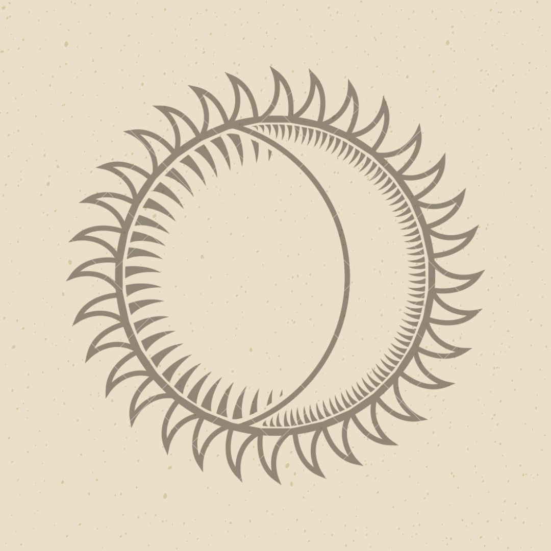 And, just like that, the sun kissed the moon and she shined bright | by ...